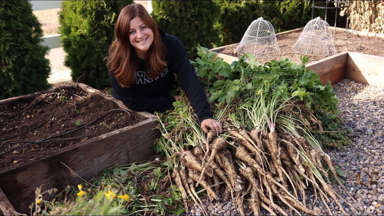 Organic Gardening Guide - Example Life